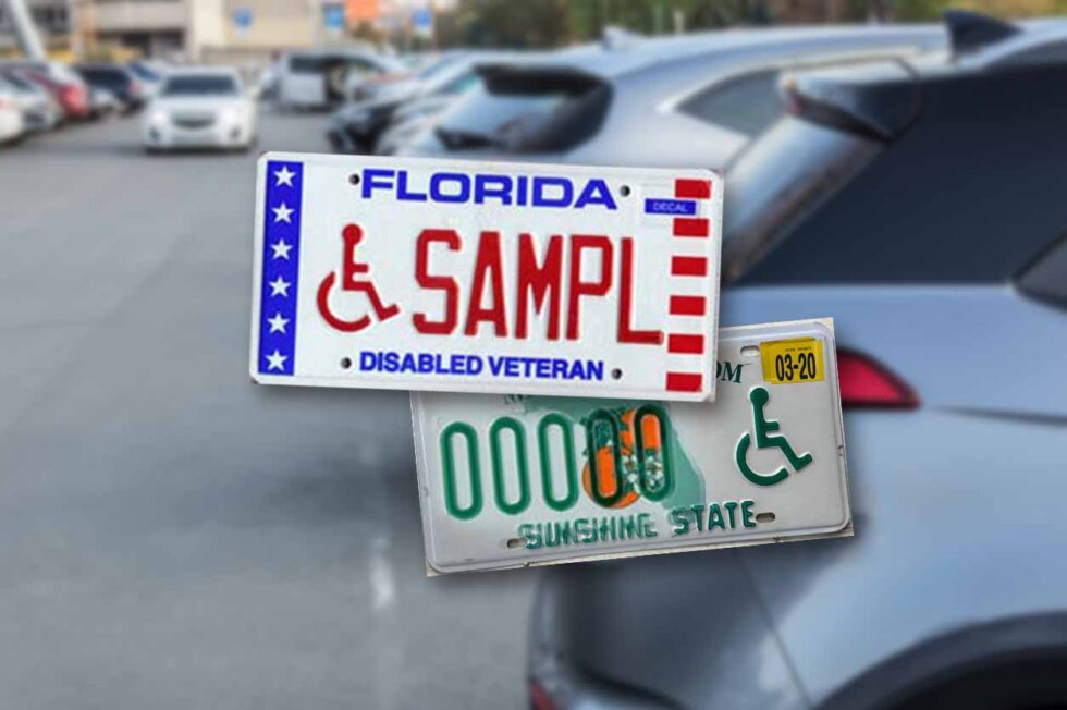 License Plates - Constitutional Tax Collector