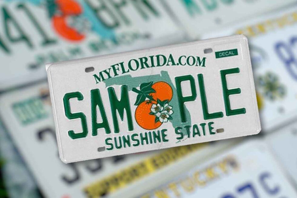 Motor Vehicle - Constitutional Tax Collector