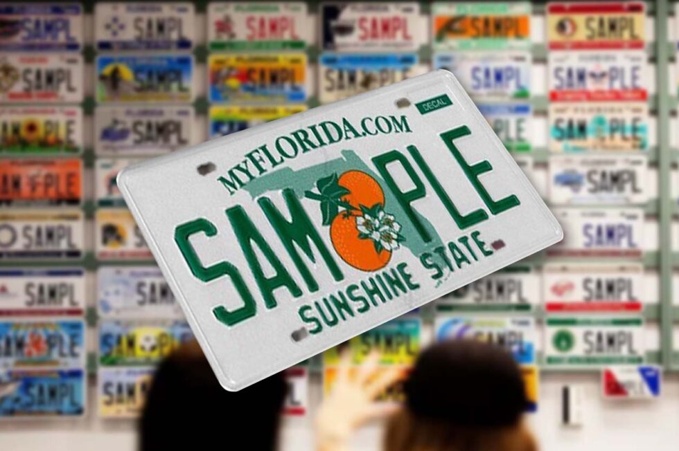 License Plates - Constitutional Tax Collector